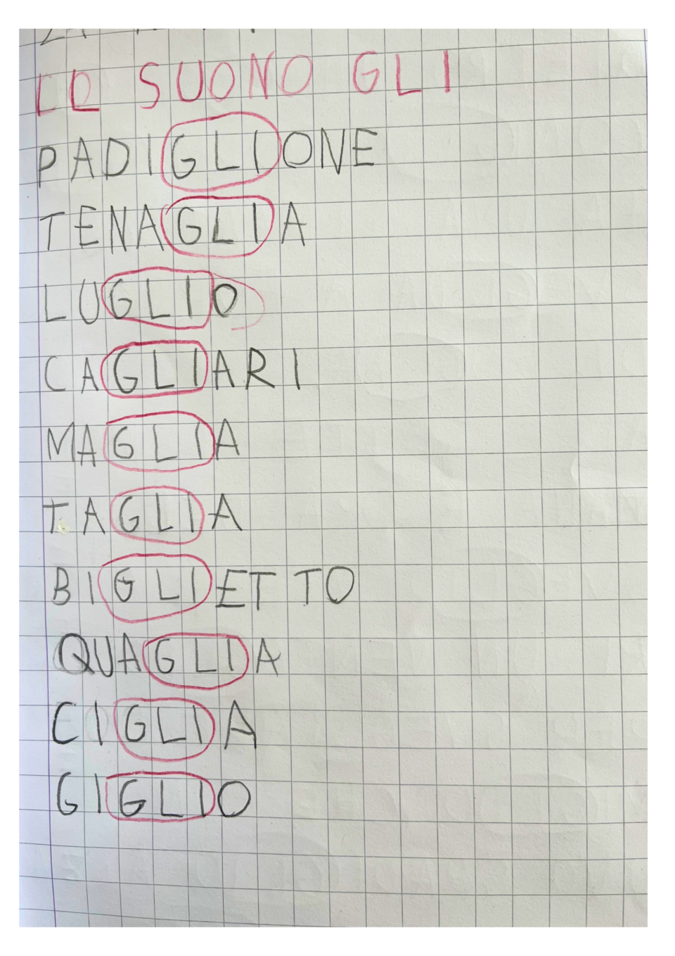 Il gruppo GL - maestra Ilaria