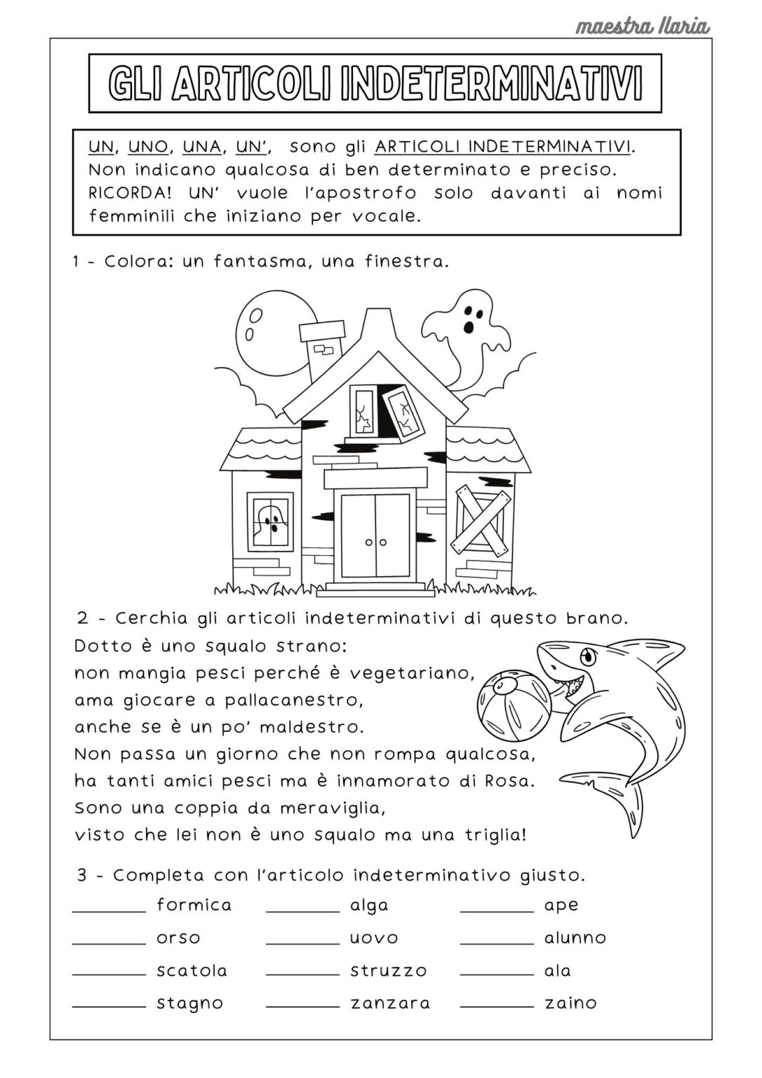 Gli articoli determinativi e indeterminativi - maestra Ilaria