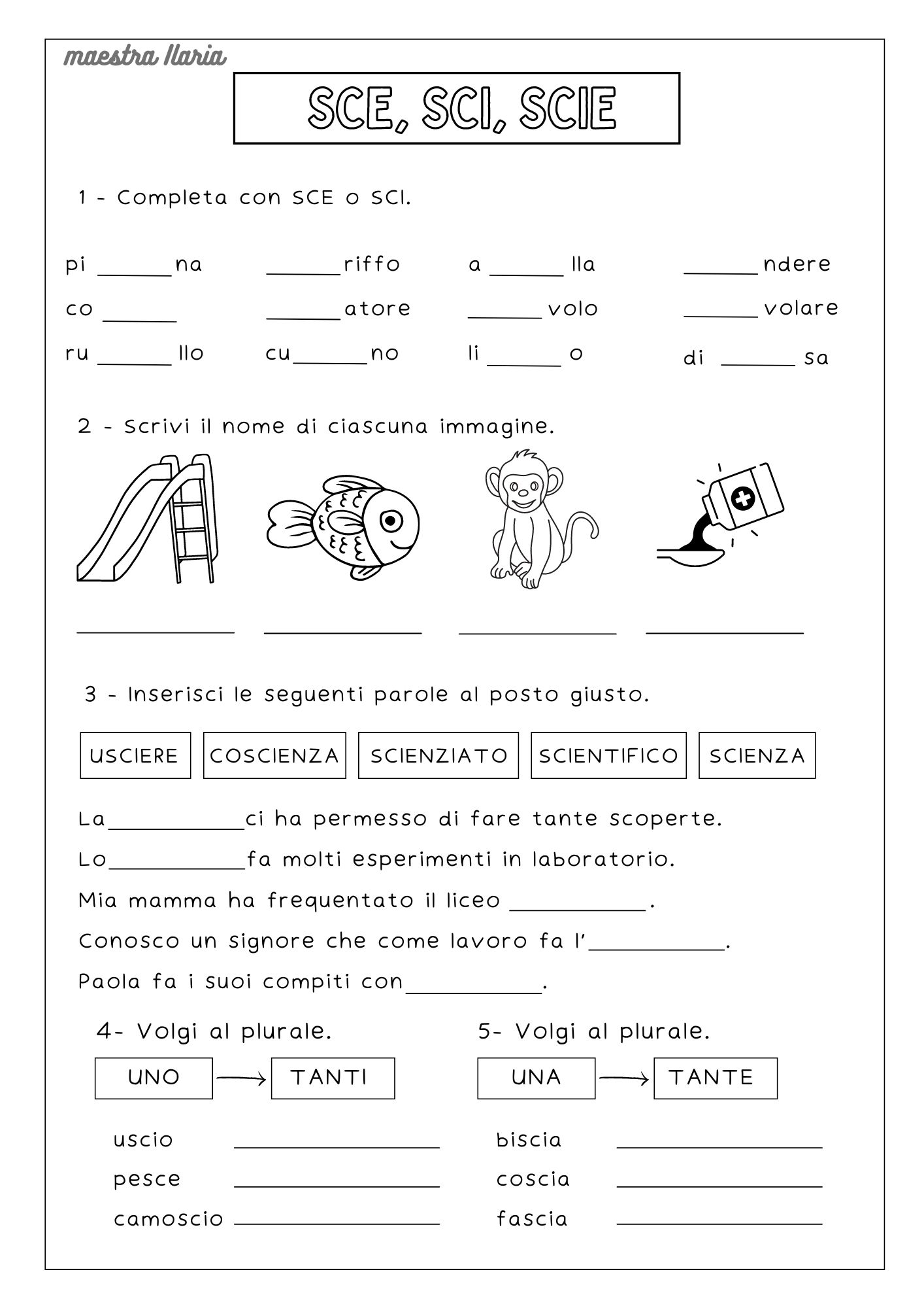 SC - suoni duri e dolci - maestra Ilaria