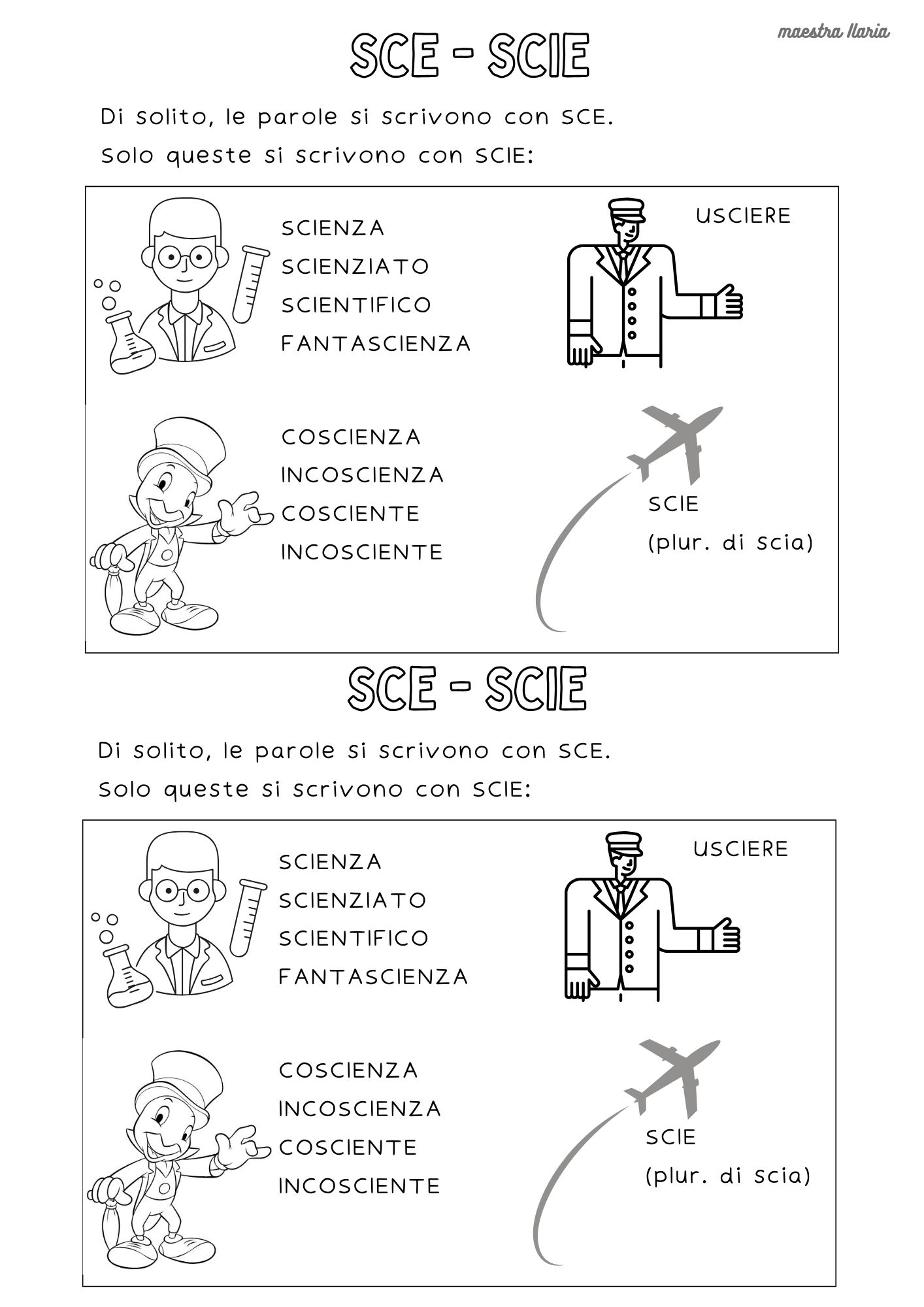 SCI - SCE - SCIE - maestra Ilaria