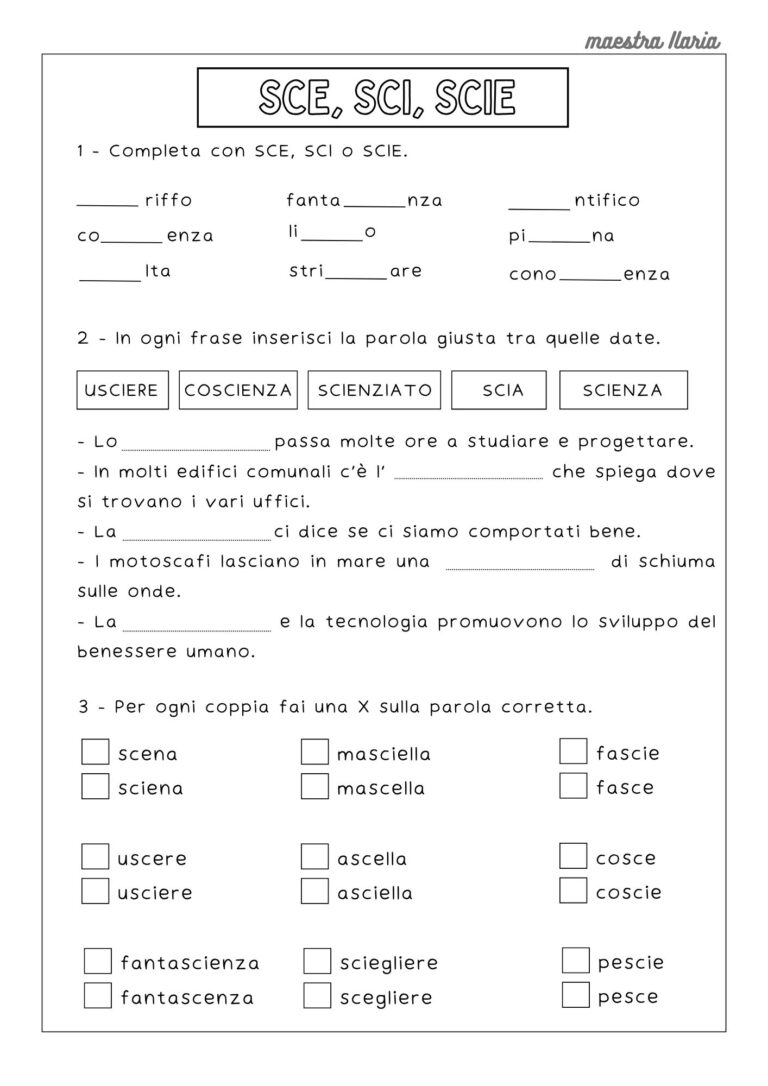 SCI - SCE - SCIE - maestra Ilaria