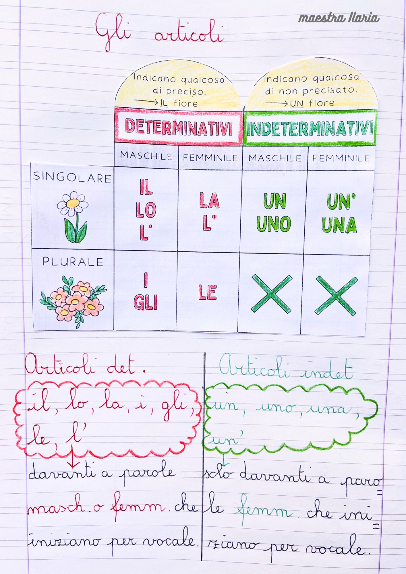 Gli articoli - classe terza - maestra Ilaria